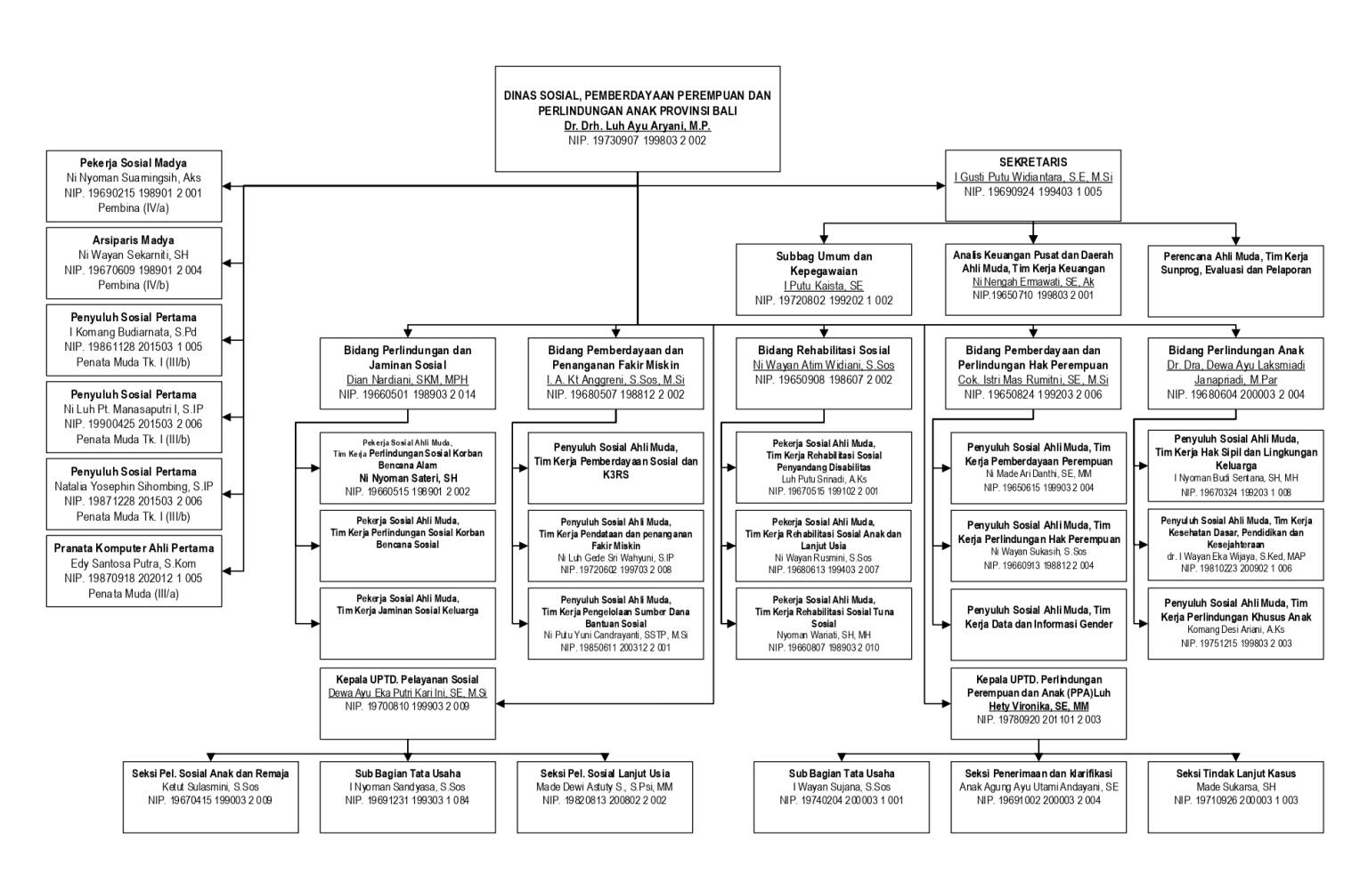 Struktur Organisasi Dinsos P3A – Dinas Sosial P3A Provinsi Bali