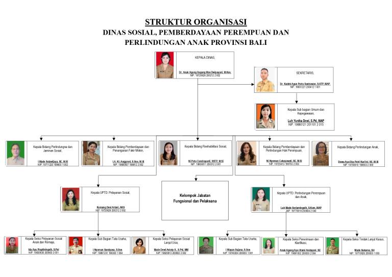 Struktur Organisasi Dinsos P3A